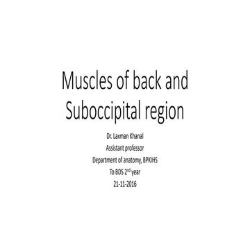Anatomy of Back of fore arm and dorsum of hand | PDF