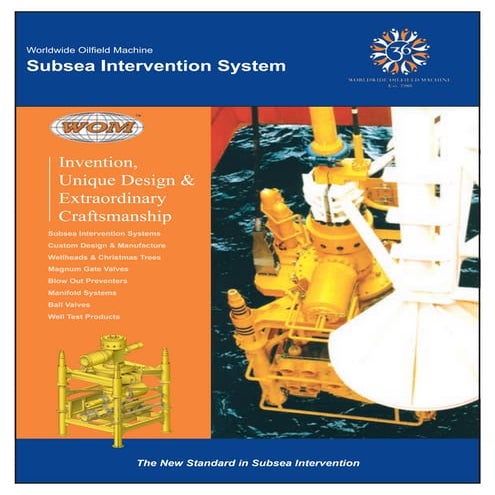 Subsea Intervention System (SIS) - Worldwide Oilfield Machine | PDF