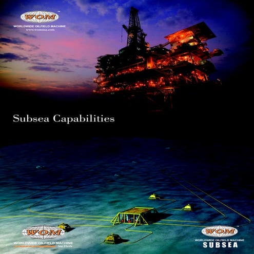 Subsea intervention systems | PDF
