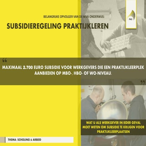 Subsidieregeling praktijkleren: 6 kenmerken. | PDF