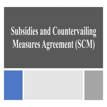 Subsidies and Countervailing Measures Agreement.pptx