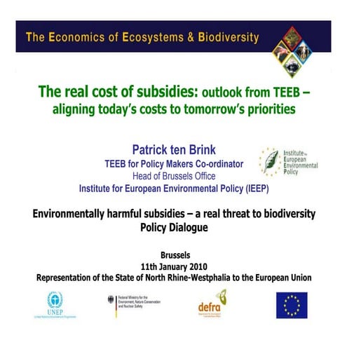 Subsidy Reform - TEEB insights - by Patrick ten Brink of IEEP 11 January 2010 | PPT