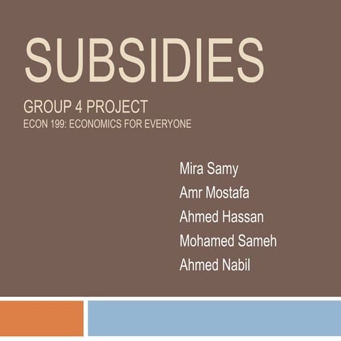 Subsidies in Egypt | PPTX