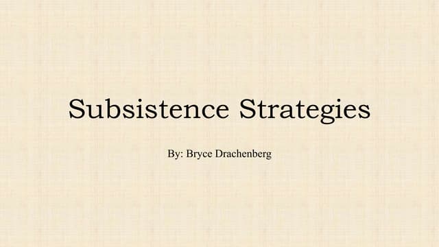 United nations flags | DOCX