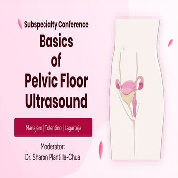 Basics of Pelvic Floor Ultrasound 1.pptx