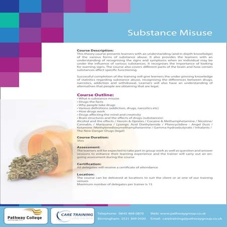 Substance Misuse Training Course | PDF