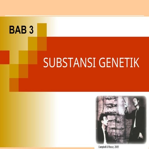substansi genetik .ppt