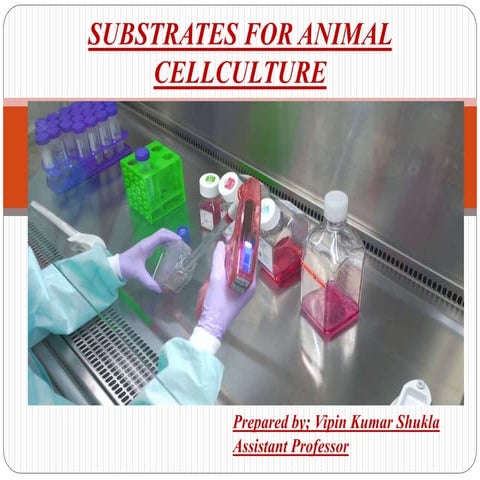 Substrates for animal cellculture | PPTX