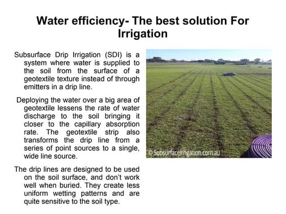 Set up subsurface drip irrigation | PPT