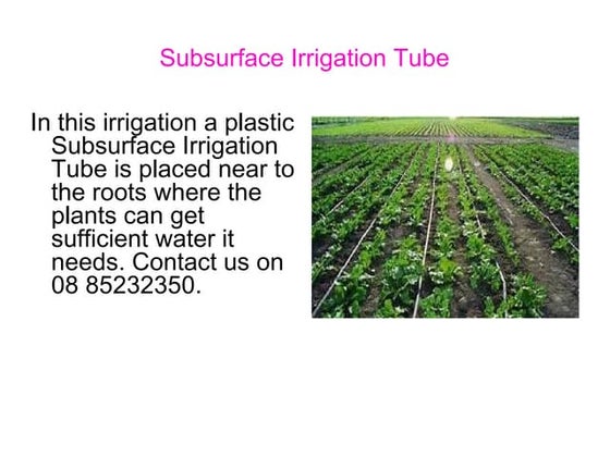 Set up subsurface drip irrigation | PPT