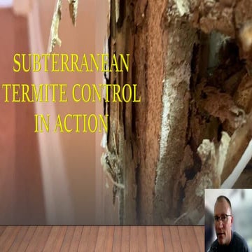 Subterranean Termite Control in Action PDF.pdf