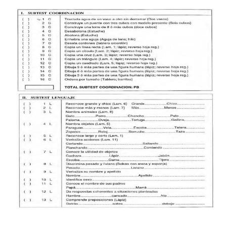 tepsi-protocolo-y-laminas, formato para imprimir | PDF