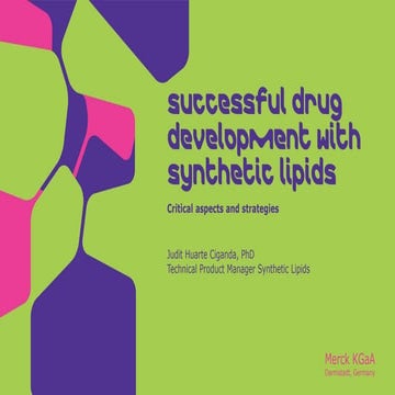 Successful Drug Development with Synthetic Lipids: Critical Aspects and ...