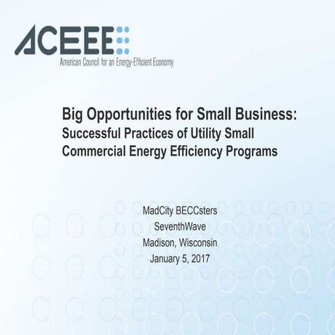 Successful Small Business Energy Efficiency Program Practices | PPTX