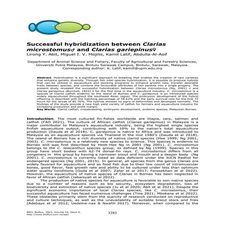 Successful hybridization between Clarias microstomus♂ and Clarias ...