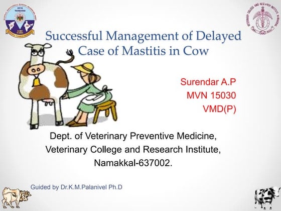 Mastitis in cattle, buffalo | PPT | Ear, Nose and Throat Conditions ...