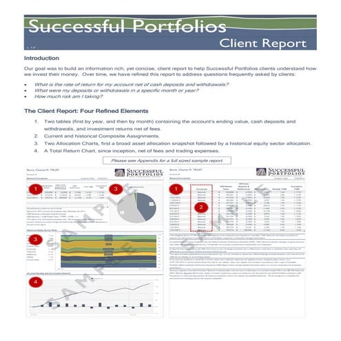 Successful Portfolios Guide to Our Client Reports | PDF