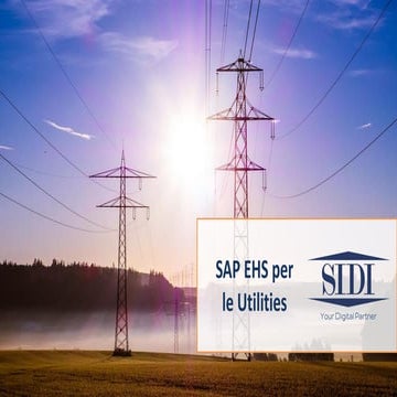 SAP EHS per le Utilities | PDF