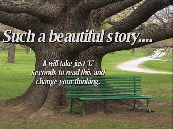 The window by harry buschman | PDF