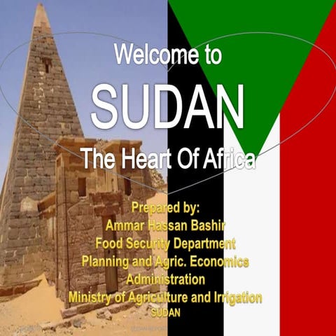 Sudan Report Presentation | PPTX