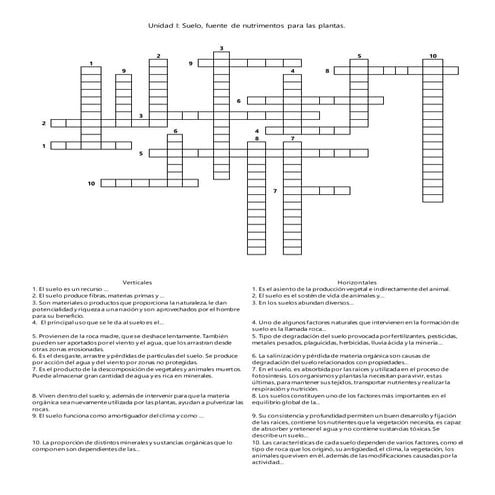 Sopa De Letras Sobre El Suelo