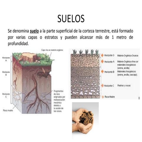 Suelos clase 2do | PPT