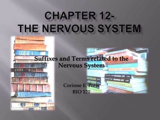 Nervous system chapter 12 | PPT