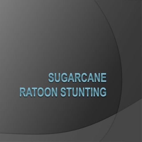 Sugarcane ratoon stunting | PPTX
