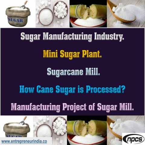 Sugar Manufacturing Industry. Mini Sugar Plant. Sugarcane Mill. -11896-.pdf