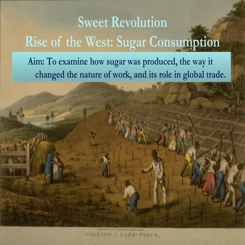 Sugar Trade: Period 4 | PPT