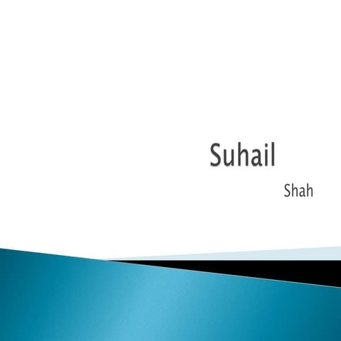 Биография на Стив Ъруин | PDF