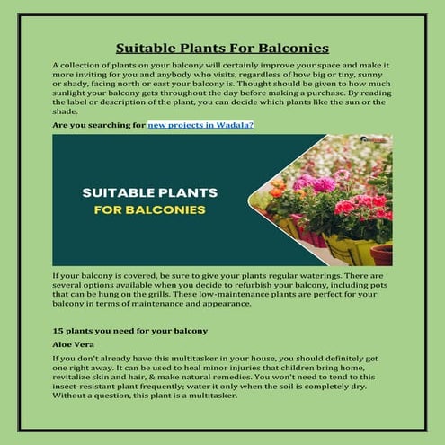 Suitable plants for balconies.pdf