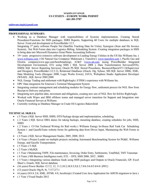 Dirk_Bender-Resume | PDF