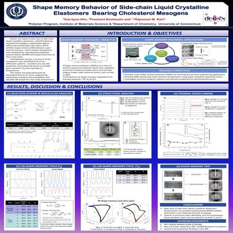 Research Poster 2009 | PDF