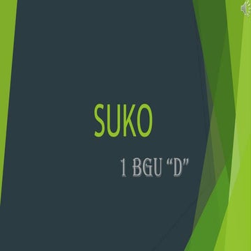 SukoO | PPTX