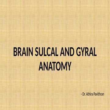 Sulcal and gyral of brain radioanatomy. | PPTX