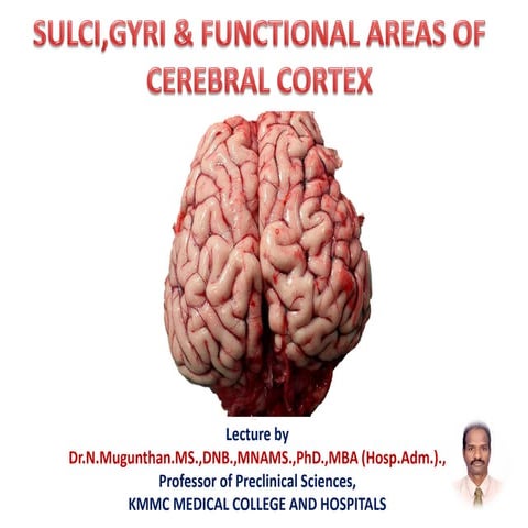 Spaces of hand-Dr.N.Mugunthan | PDF