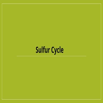 environmental science 7 sulfur cycle.pptx