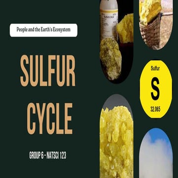 SULFUR-CYCLE.ishshdudbeisgsisbishsijsjsjsj | PPT