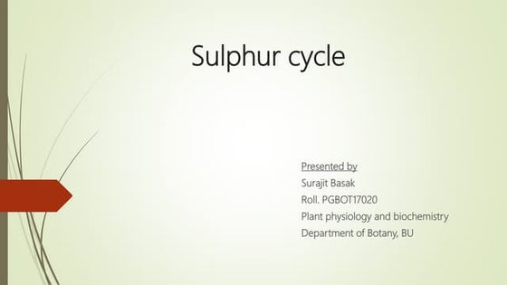 Biochemistry of sulphur reduction | PPTX | Chemistry | Science