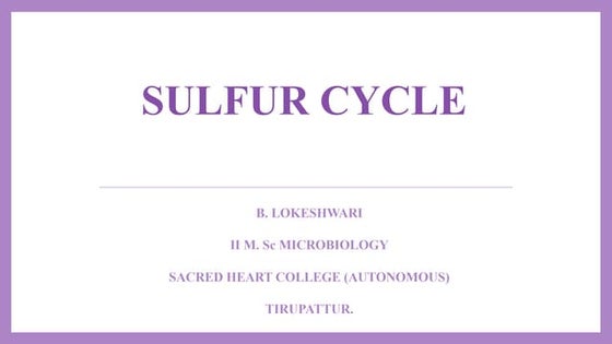 sulfurcycle-190707073010 (1).pdf | Chemistry | Science