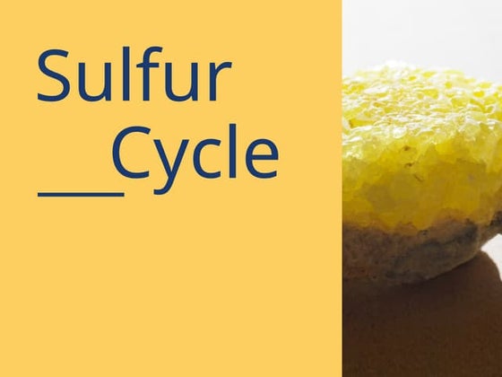 Element Sulfur | PPTX