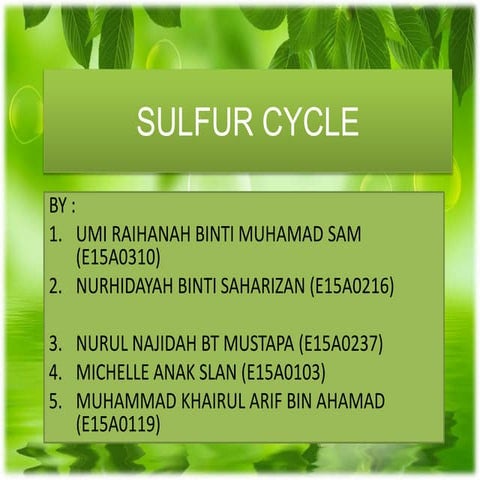 Sulfur cycle presentation | PPTX