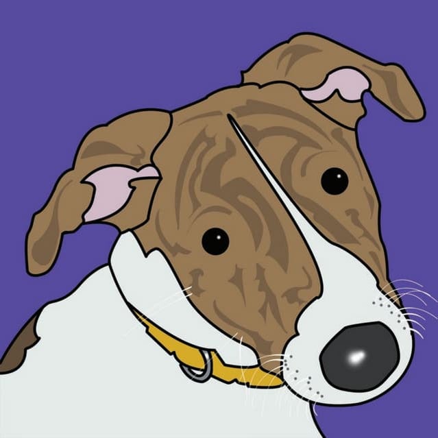 Opie Pop Art Pet Portrait | PDF