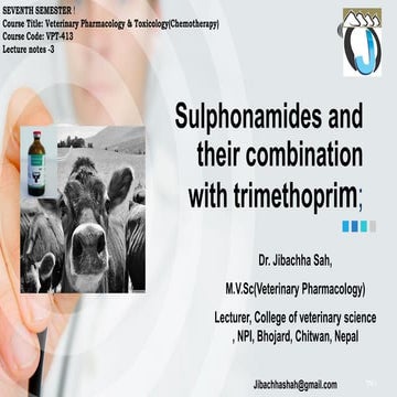 Sulphonamides and their combination with trimethoprim - by Dr.Jibachha ...