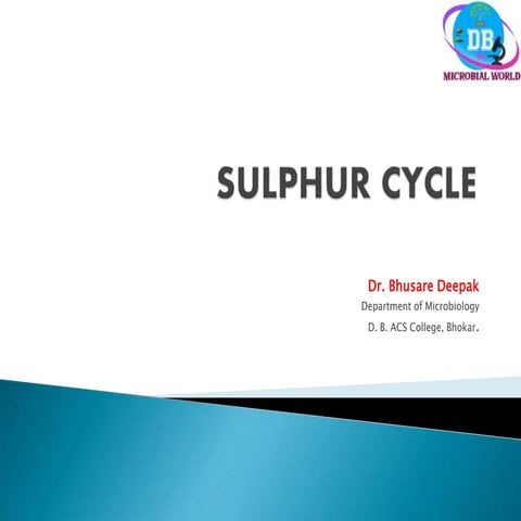 Sulphur cycle | PPT
