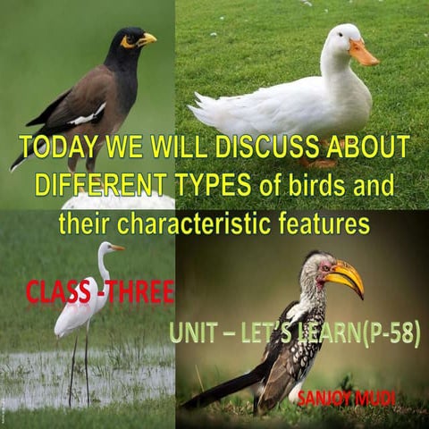 DIFFERENT TYPES of birds and their characteristic features | PPTX