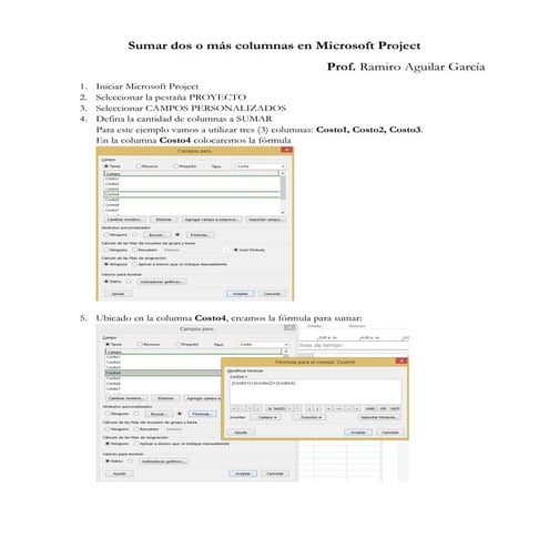 Sumar Dos o más columnas en Microsoft Project | PDF