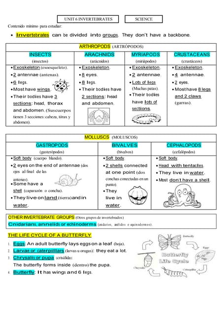 Resumen unit 5 | PDF