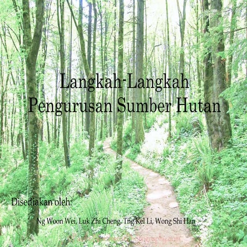 Langkah-Langkah Pengurusan Sumber Hutan | PPTX